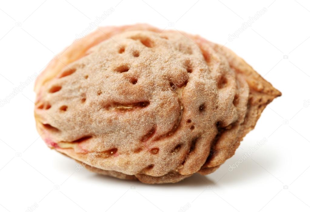 Partes do Pêssego: Epicarpo, Endocarpo e Mesocarpo – Mundo Ecologia