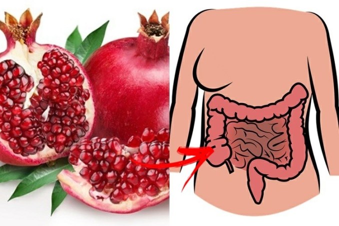Romã: Curiosidades e Fatos Interessantes Sobre a Fruta | Mundo Ecologia