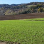 Qual a Diferença Entre Hectare e Alqueire? Qual é Maior? | Mundo Ecologia