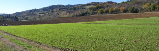 Qual a Diferença Entre Hectare e Alqueire? Qual é Maior? – Mundo Ecologia