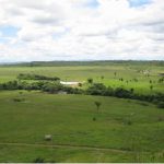 Qual a Diferença Entre Hectare e Alqueire? Qual é Maior? – Mundo Ecologia