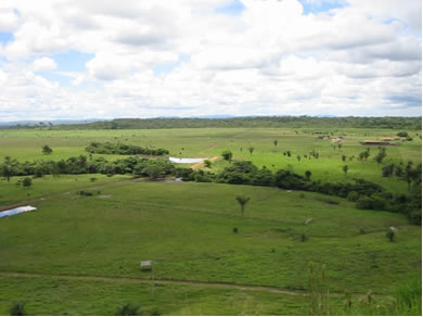 Qual a Diferença Entre Hectare e Alqueire? Qual é Maior? – Mundo Ecologia