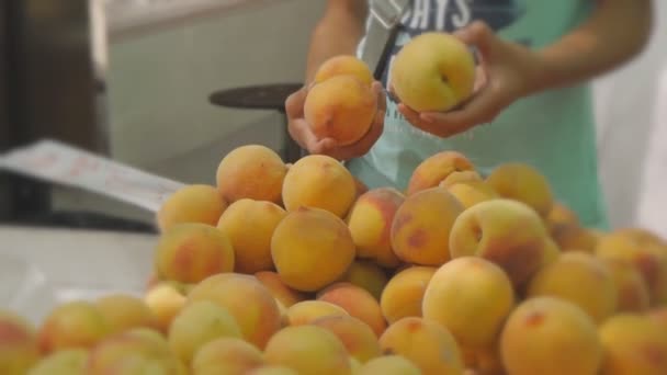 Tudo Sobre o Pêssego: Características e Imagens da Fruta | Mundo Ecologia