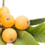 História da Nêspera e Origem da Fruta | Mundo Ecologia