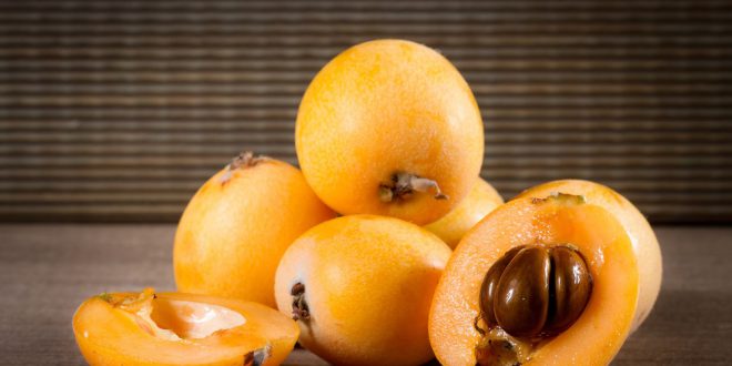 História da Nêspera e Origem da Fruta | Mundo Ecologia