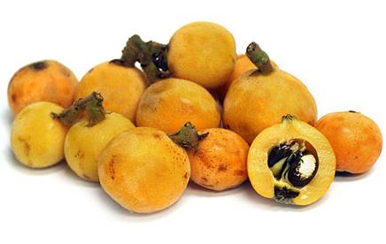 História da Nêspera e Origem da Fruta | Mundo Ecologia