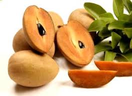 História da Nêspera e Origem da Fruta | Mundo Ecologia