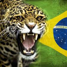 Onde Tem Onça no Brasil? Quais Estados? | Mundo Ecologia