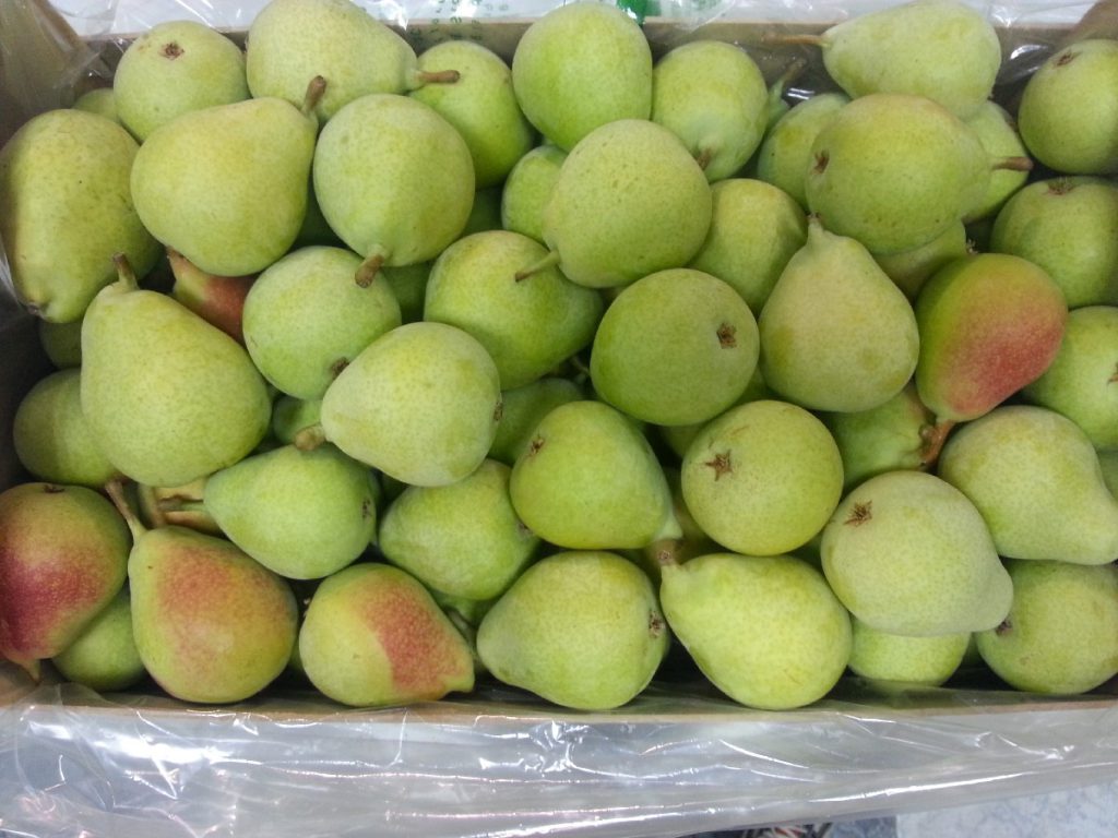 Tudo Sobre a Pera – Ficha Técnica, Características, Broto e Imagens ...