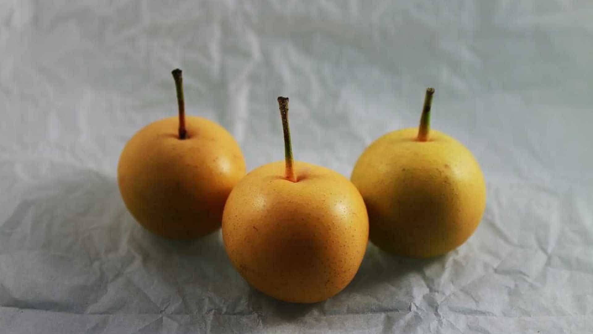 Pera Nashi: Características, Nome Científico, Benefícios e Fotos ...