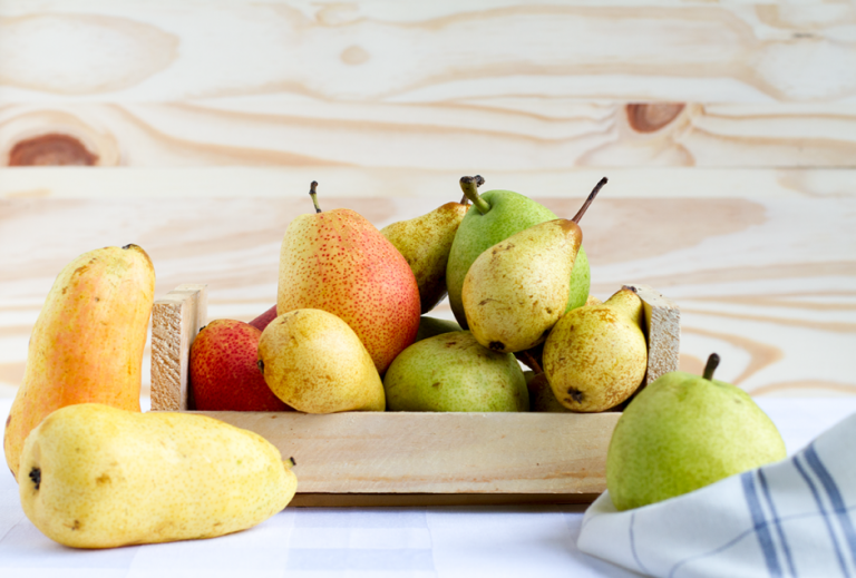 Tudo Sobre a Pera – Ficha Técnica, Características, Broto e Imagens ...