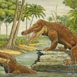 Artiodáctilos Características, Respiração e Classificações Inferiores ...