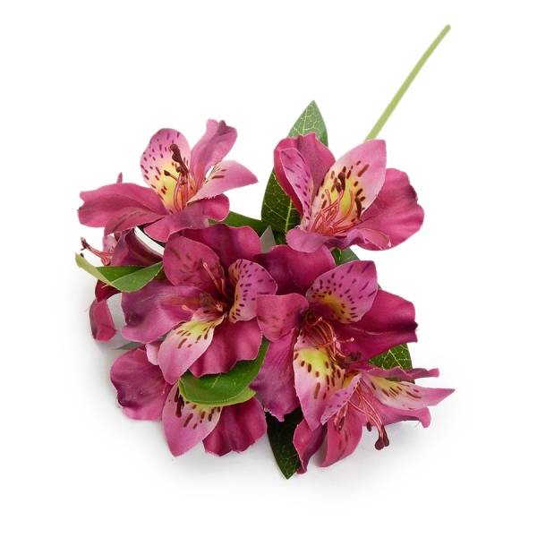 Flor Astromélia Rosa: Características, Cultivo, Nome Científico e Fotos ...