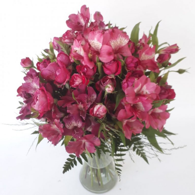 Flor Astromélia Rosa: Características, Cultivo, Nome Científico e Fotos ...