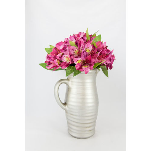 Flor Astromélia Rosa: Características, Cultivo, Nome Científico e Fotos ...