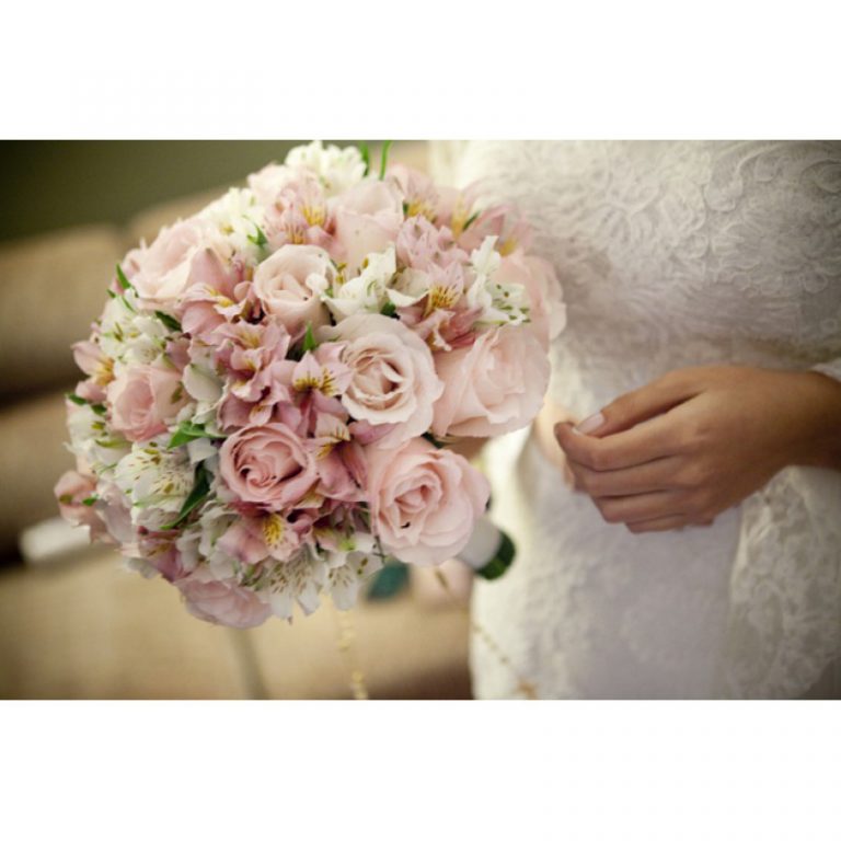 Tudo Sobre a Astromélia: Características, Nome Cientifico e Fotos ...