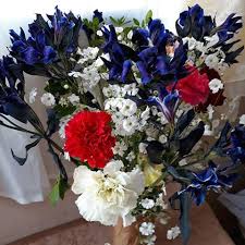 Flor Astromelia Azul Natural: Características, Nome Científico e Fotos ...