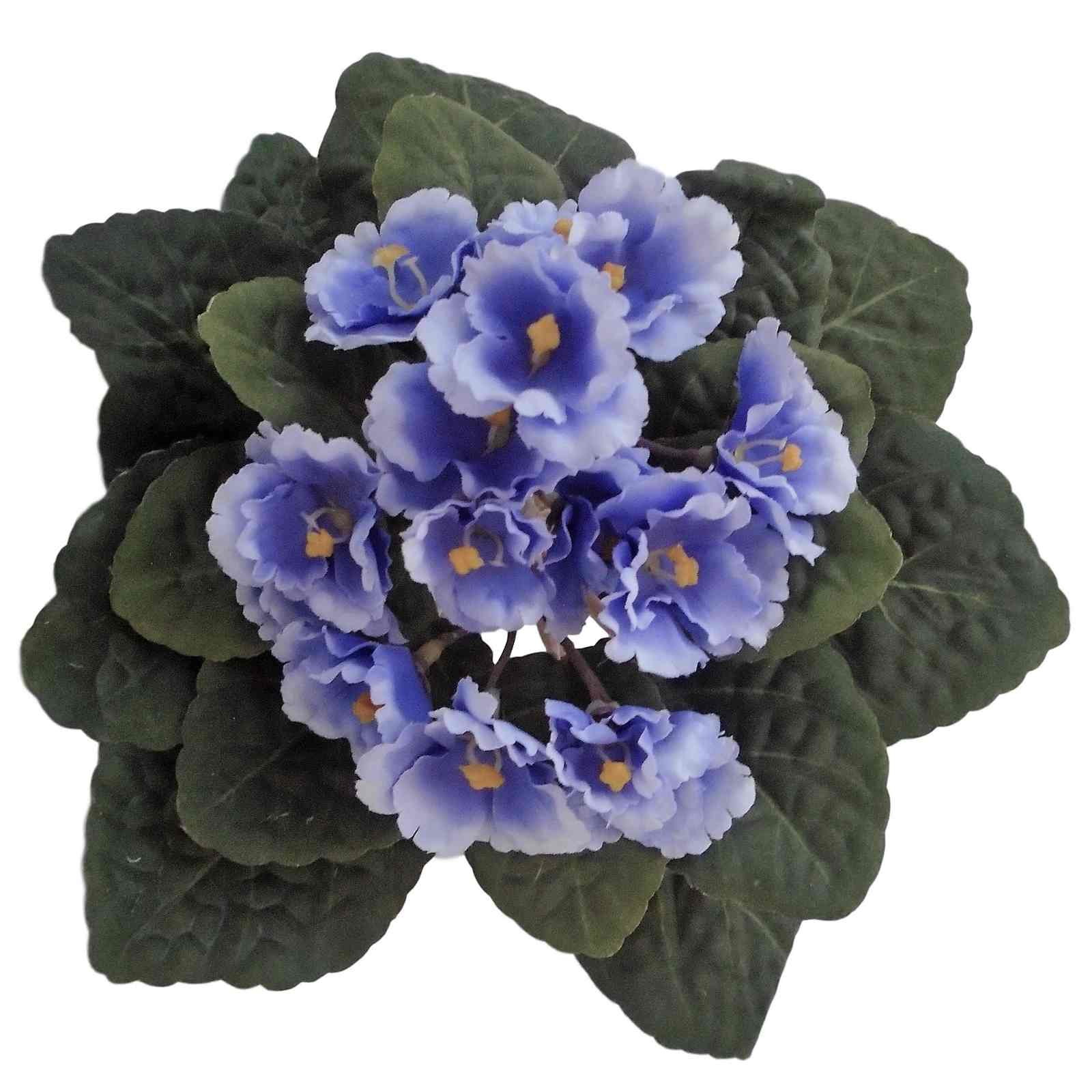 Flor Astromelia Azul Natural: Características, Nome Científico e Fotos ...