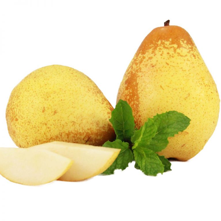 Floração Da Pera: Qual A Época? Como Funciona? Fotos | Mundo Ecologia