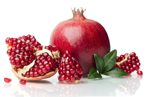 Flor da Romã ou Româzeira: Caracteristicas Botanicas e Fotos – Mundo ...