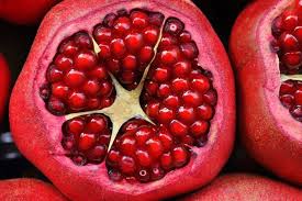 Flor da Romã ou Româzeira: Caracteristicas Botanicas e Fotos – Mundo ...