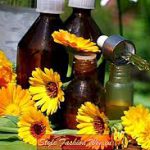 Tudo Sobre a Calêndula: Características, Nome Cientifico e Fotos ...