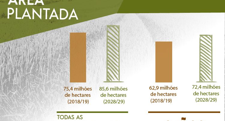 Qual é a Área Plantada do Brasil? | Mundo Ecologia