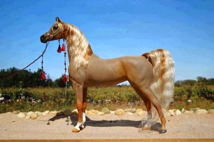 Raça de Cavalo Akhal- Teké: Características, Fotos e História – Mundo ...