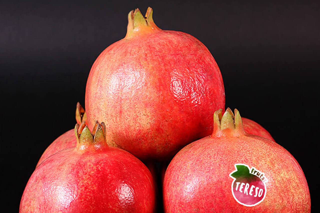 Pé de Romã Secando ou Sem Dar Frutos: O que Fazer? | Mundo Ecologia