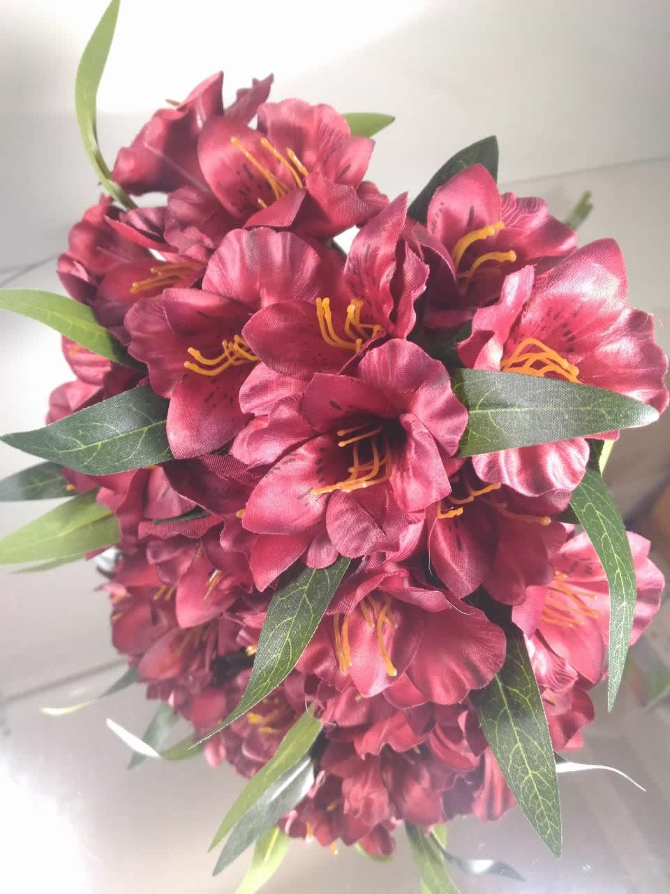 Flor Astromélia Marsala: Características, Cultivo e Fotos – Mundo Ecologia