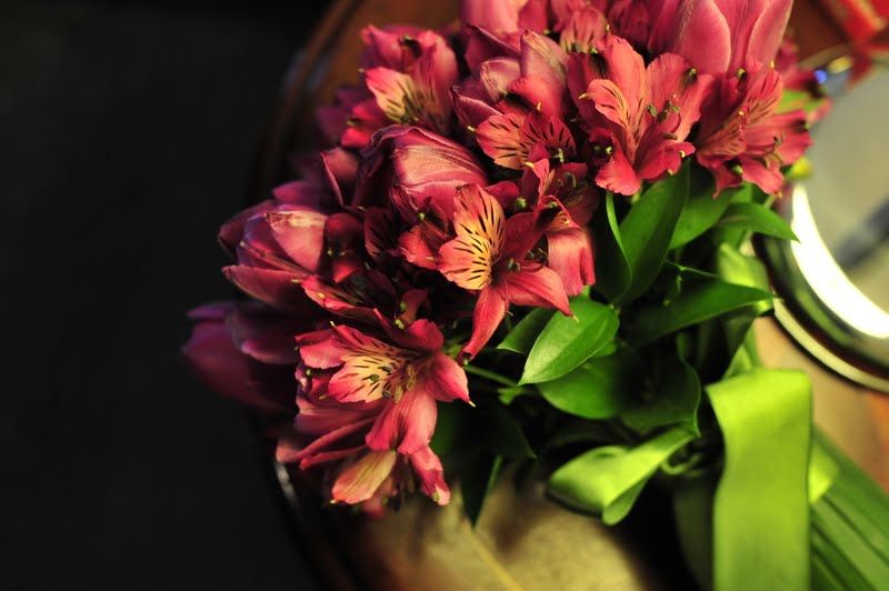 Flor Astromélia Marsala: Características, Cultivo e Fotos – Mundo Ecologia