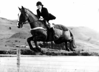 Quais São as Três Modalidades do Hipismo? Como Funcionam? | Mundo Ecologia