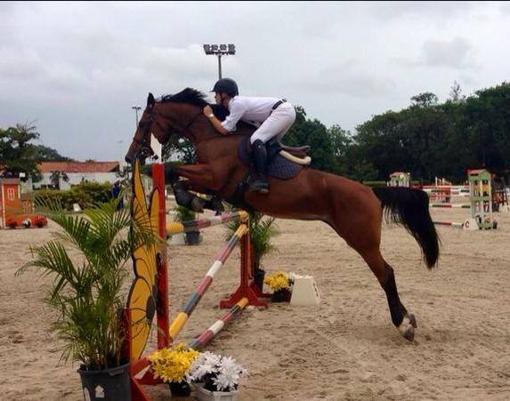 Quais São as Três Modalidades do Hipismo? Como Funcionam? | Mundo Ecologia