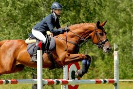 O Que é Equitação? Pra que Serve Uma Escola de Equitação? – Mundo Ecologia