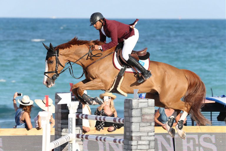 Top 10 Cavalos Mais Caros do Brasil Com Nome e Fotos – Mundo Ecologia