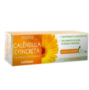 História da Calêndula e Origem da Planta | Mundo Ecologia