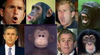 Quantas Mãos Tem um Macaco? Quantos Dedos Eles Possuem? – Mundo Ecologia