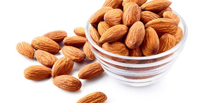 Qual a Utilidade da Amêndoa? Para Que ela Serve? | Mundo Ecologia
