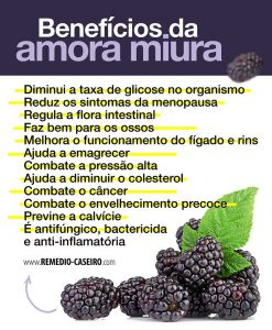 História da Amora, Significado, Origem da Fruta e Fotos | Mundo Ecologia