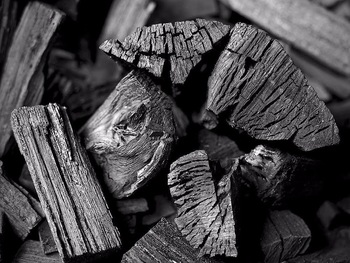 Quais os Benefícios do Carvão Vegetal? Pra Que Serve? | Mundo Ecologia