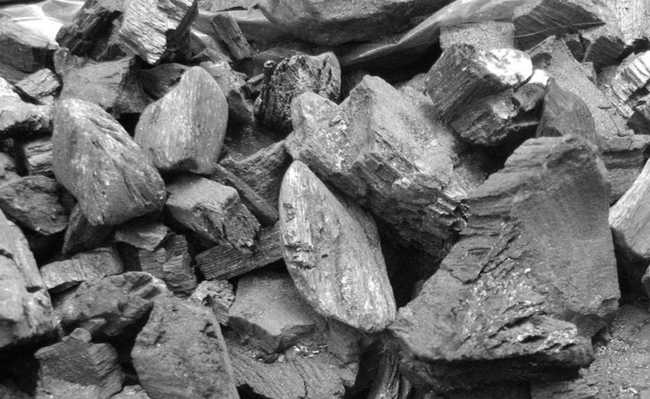 Quais os Benefícios do Carvão Vegetal? Pra Que Serve? | Mundo Ecologia