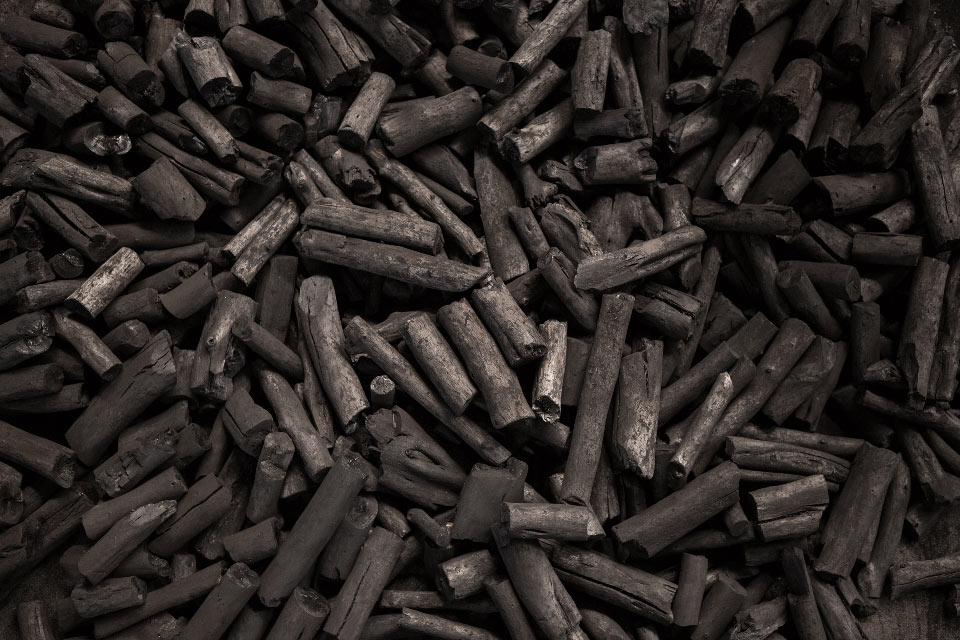 Quais os Benefícios do Carvão Vegetal? Pra Que Serve? | Mundo Ecologia