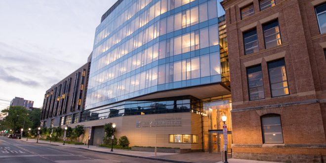 Rato Branco de Laboratório: Características, Nome Científico e Fotos ...