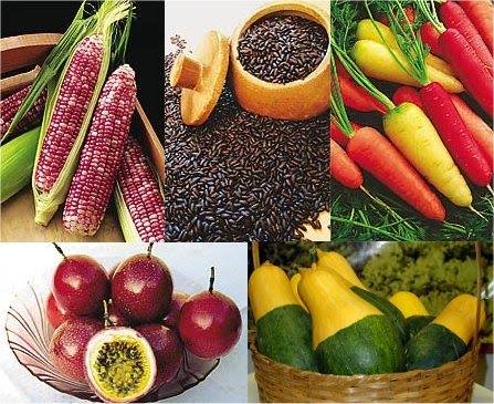 O Que é Um Animal Bardoto? O Que Significa? | Mundo Ecologia