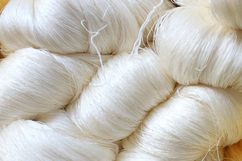 Alimentação do Bicho-da-Seda: o Que Eles Comem? | Mundo Ecologia