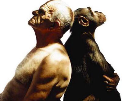 É Correto Dizer Que O Homem Evoluiu Do Macaco? | Mundo Ecologia
