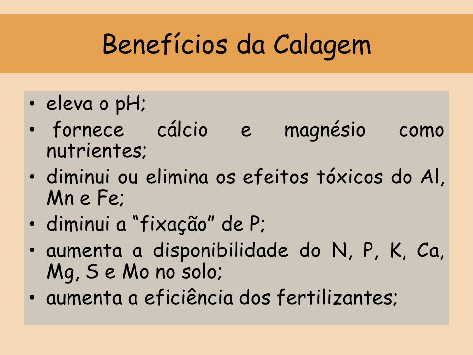 Quais São os Principais Benefícios da Calagem? O Que É? – Mundo Ecologia