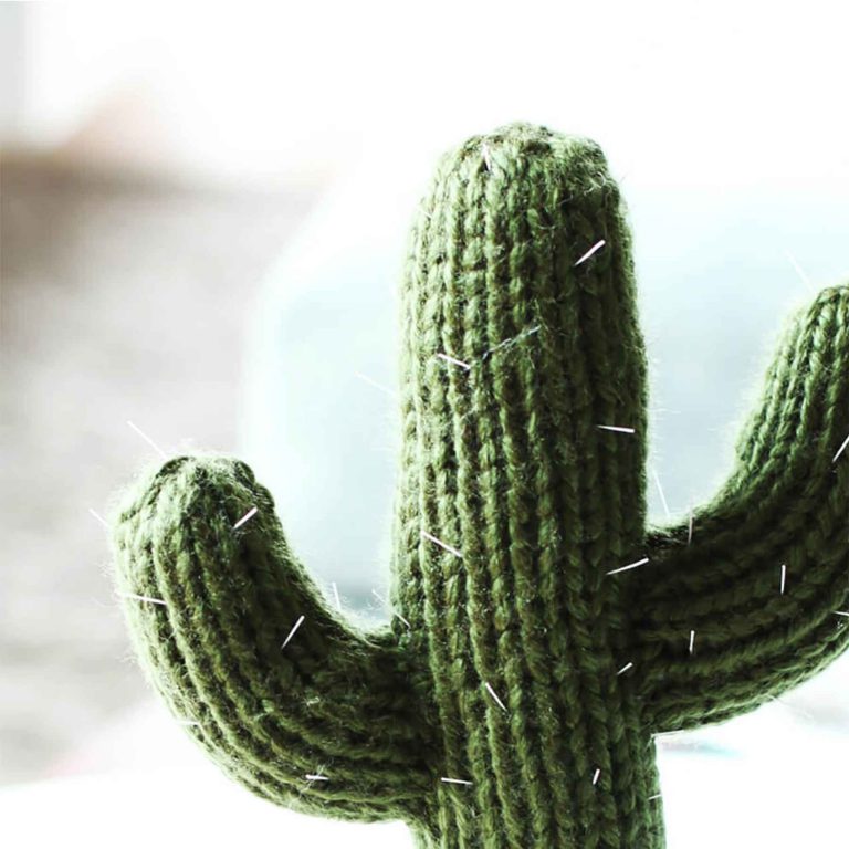 Tudo Sobre O Cacto: Características E Nome Científico – Mundo Ecologia