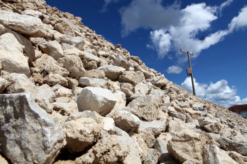 O Que é Reatividade do Calcário? Para Que Serve? | Mundo Ecologia