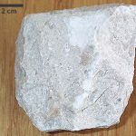 O Que é Reatividade do Calcário? Para Que Serve? | Mundo Ecologia